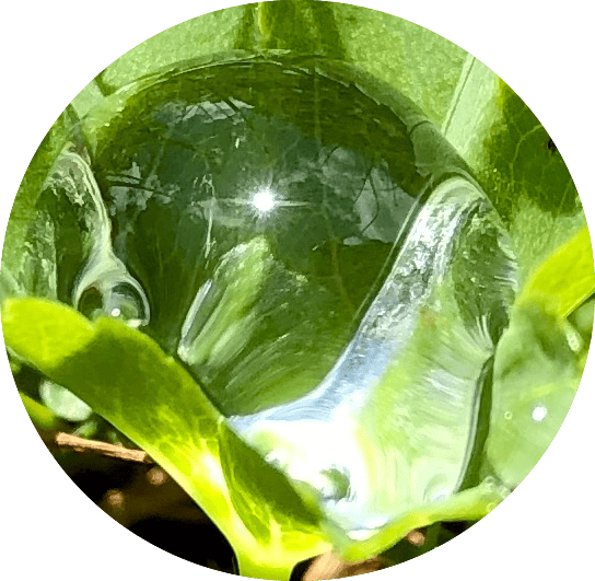 Fiche CILAD Transition - Association pour la transition Bas Carbone